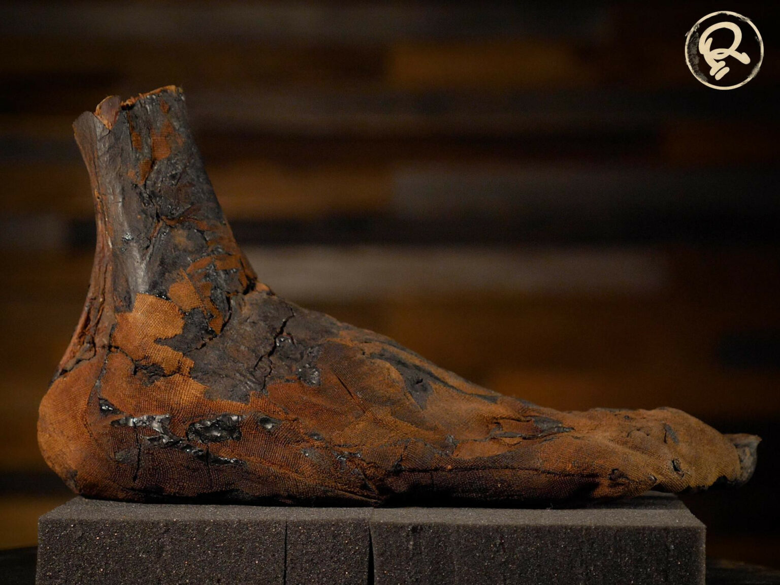 The Mysterious Mummy's Foot: A 3,500-Year-Old Relic Emerges from the ...