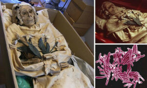 Unlocking Tuberculosis Secrets: 18th-Century Mummies in a Hungarian ...