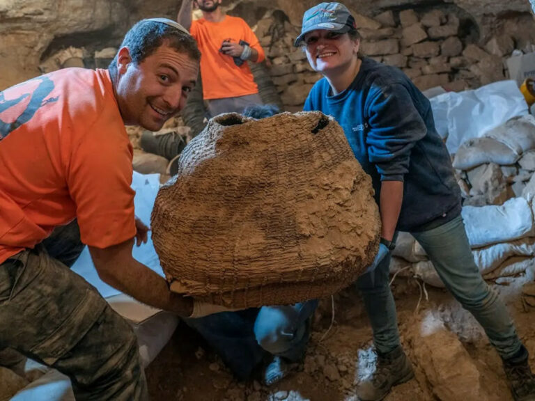 Ancient Treasures Unearthed: World's Oldest Woven Basket Found in ...