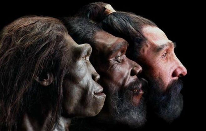 The Surprising Evolution of European Skin Color: A Tale of 8,000 Years ...