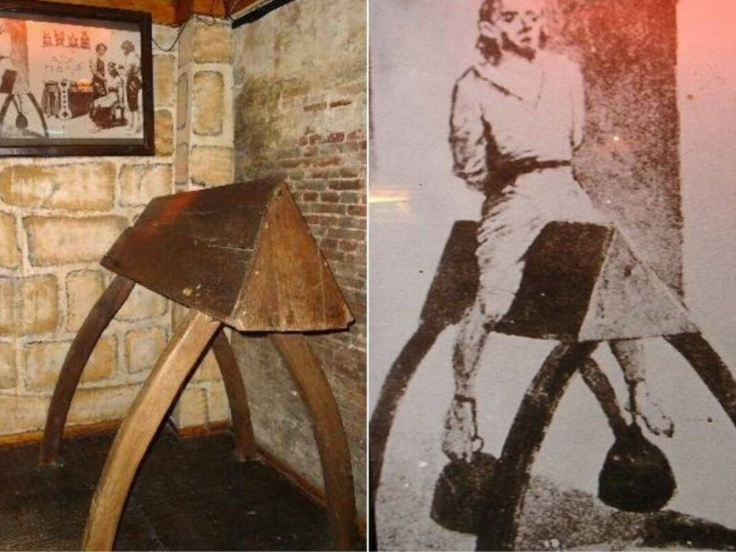 Justifying Cruelty: The Dark History of the Spanish Donkey - History