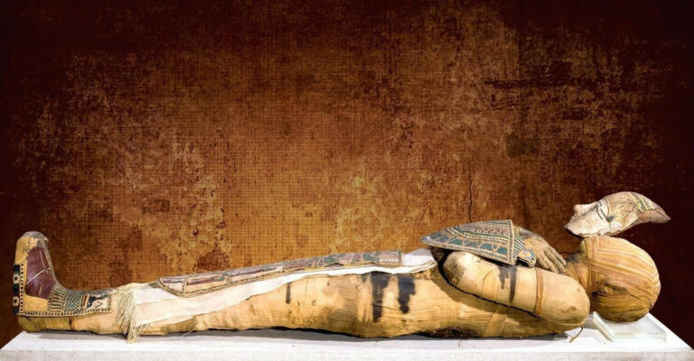 The Bashiri Mummy: Egypt's Untouchable Enigma - History