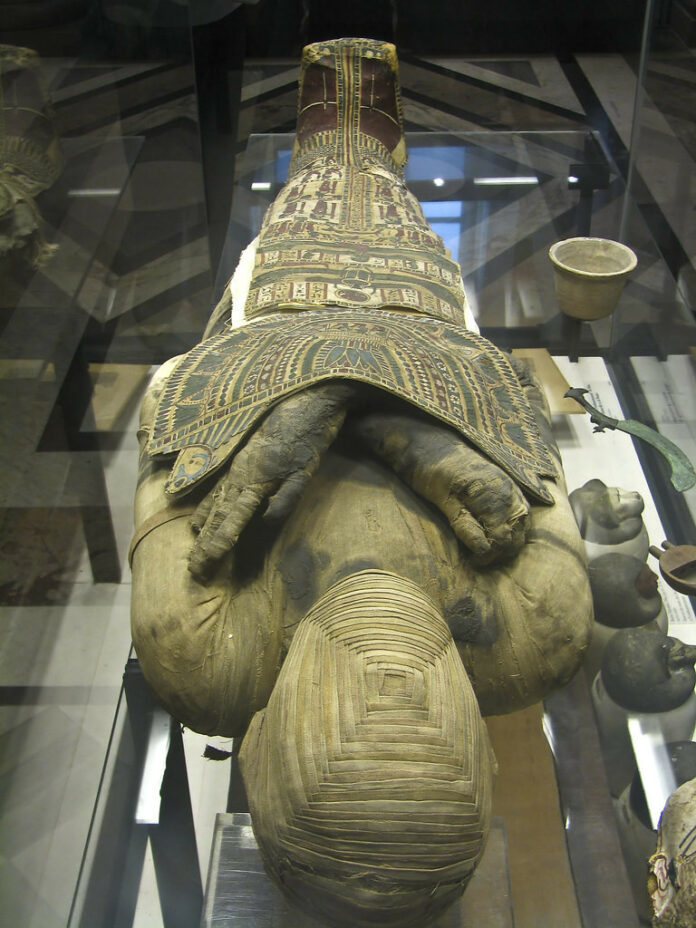 The Bashiri Mummy: Egypt's Untouchable Enigma - History