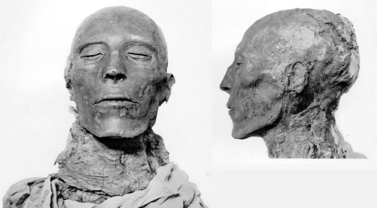 The Enigmatic Mummy of Seti I: A Tale of Ancient Egyptian Royalty - History