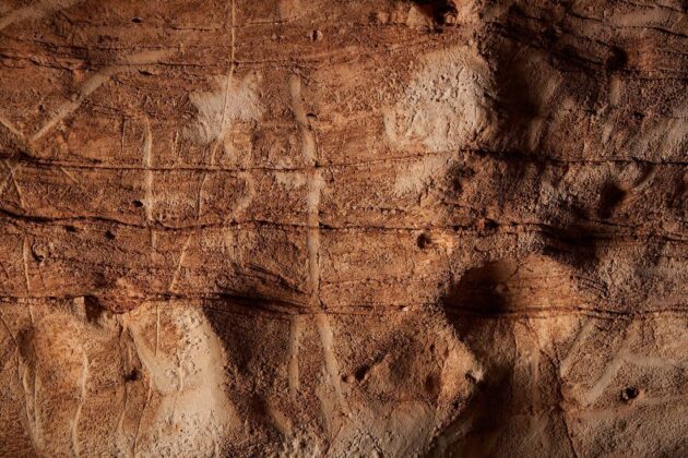 Ancient Engravings Unveil Prehistoric Secrets in Spanish Cave - History