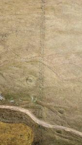 The Hartashen Megalithic Avenue: Unveiling Armenia's Ancient Mystery ...