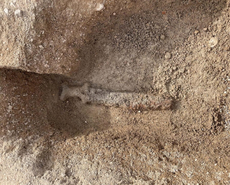 Ancient Celtic Treasures: Iron Age Necropolis Unveils Warrior Elite's ...