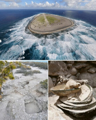 Tromelin Island: A Forgotten Tale of Survival, Slavery, and Resilience ...